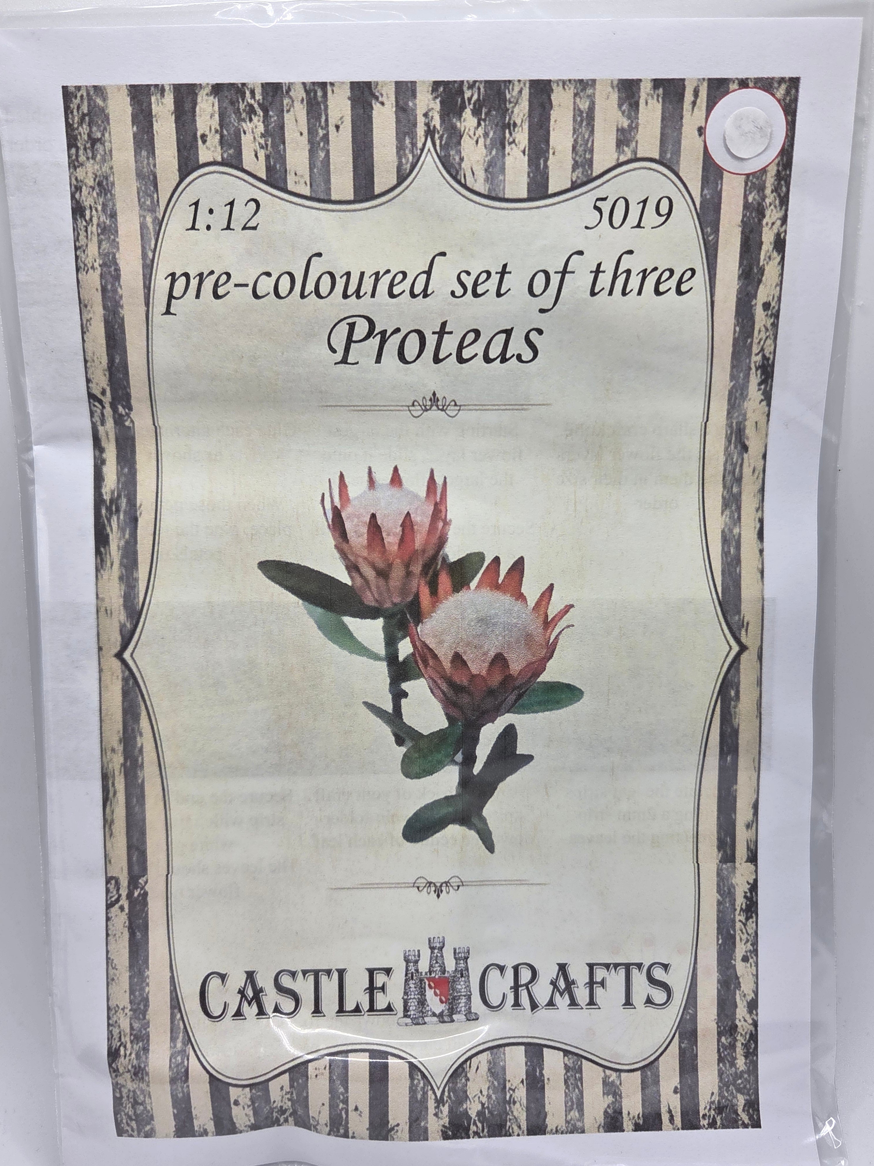 Kit - Proteas #5019 – A.W. Creations Miniatures